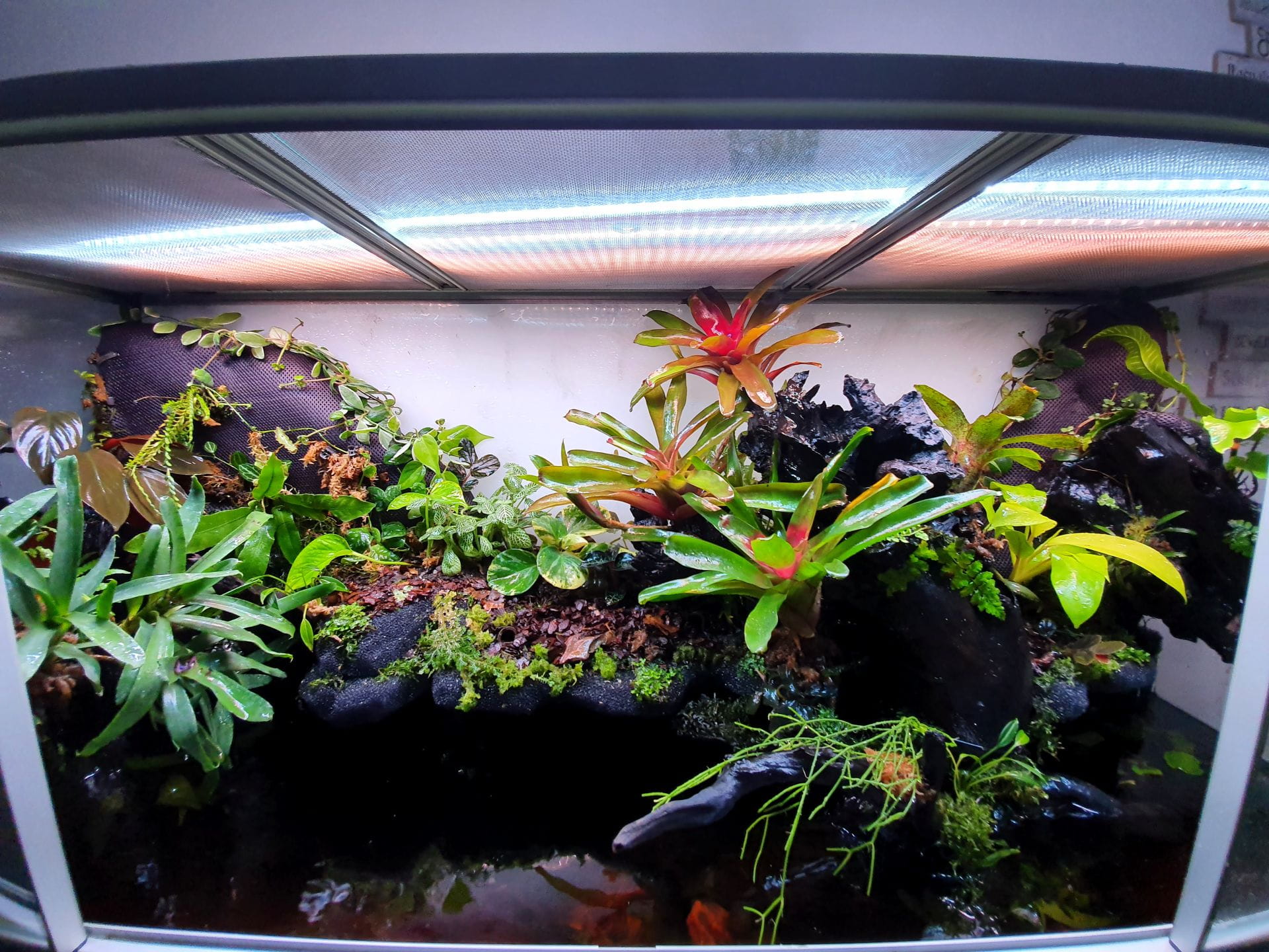 132x45x75cm Paludarium